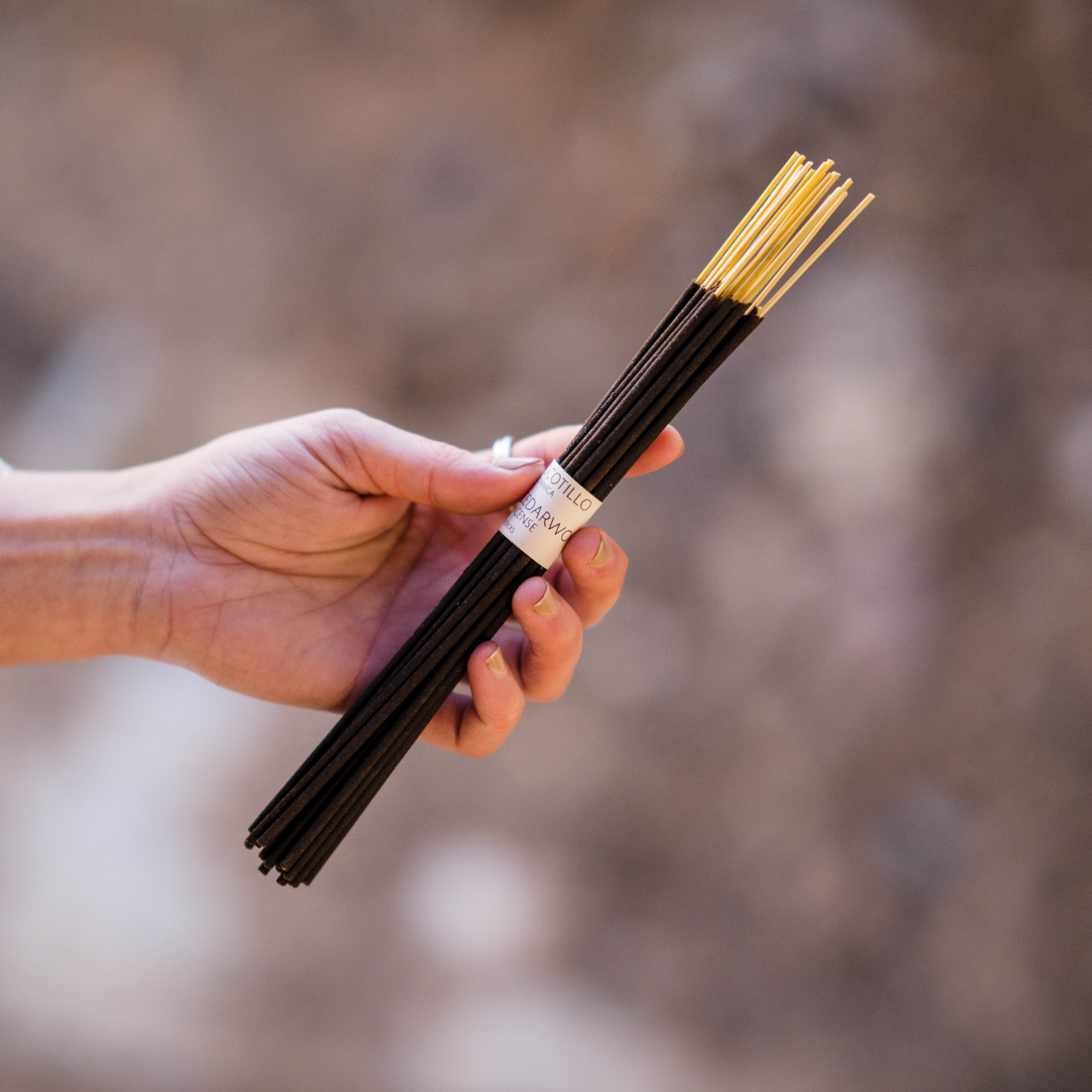 Handmade Incense – Ocotillo Botánica